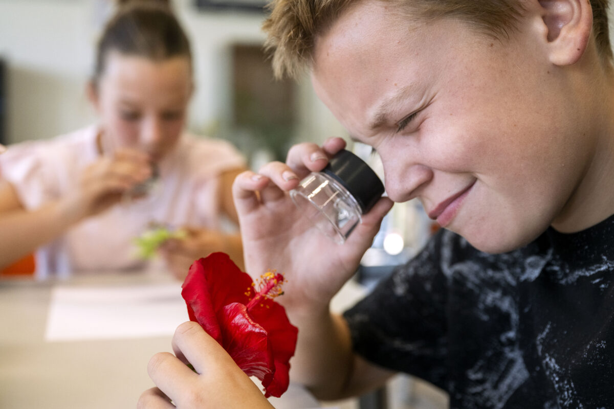 Volg een miniles op de KSE en ontdek hoe het is op onze brugklas! - KSE